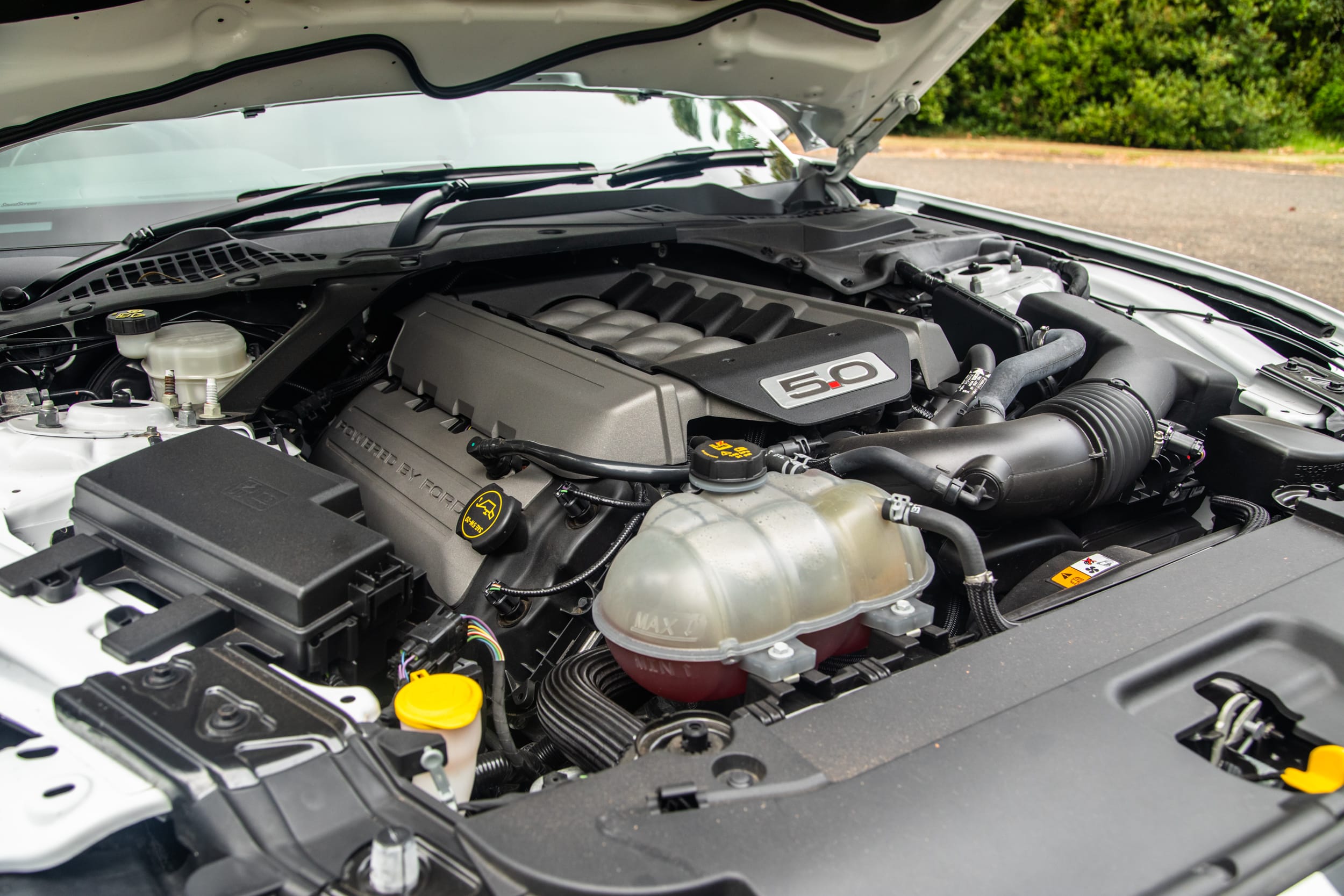 Used Ford Mustang review - ReDrivenReDriven